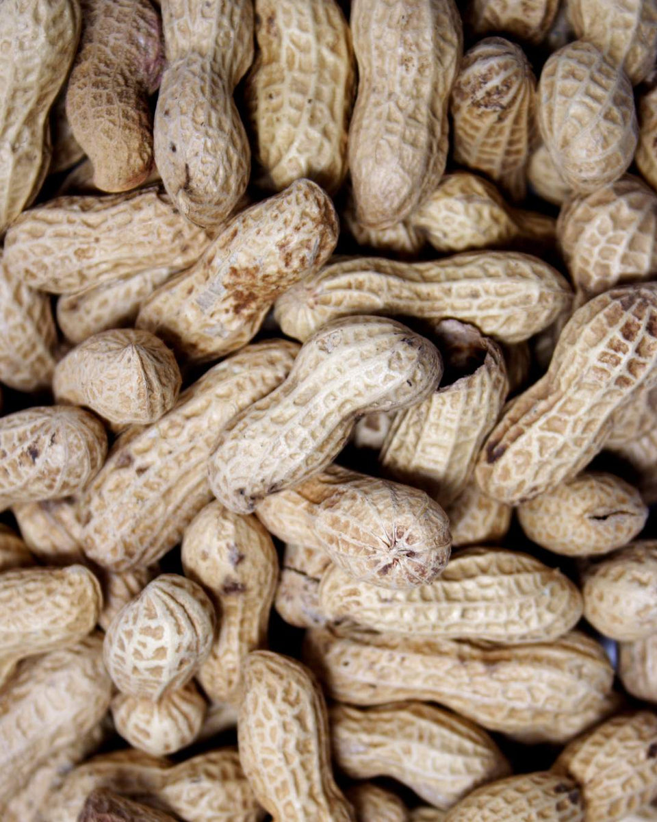 Monkey Nuts – Roebridge Foods