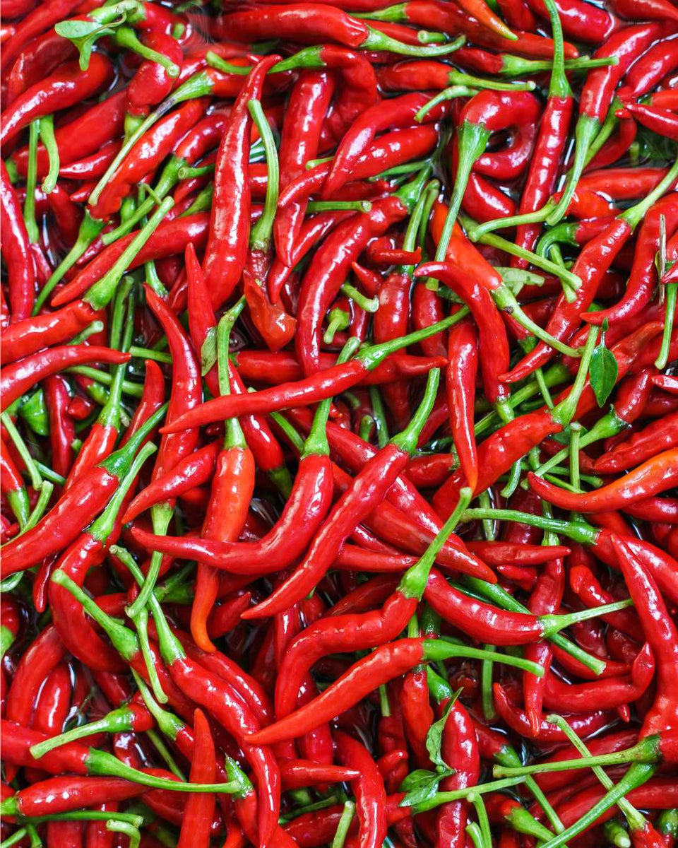 Red Chillies – Roebridge Foods