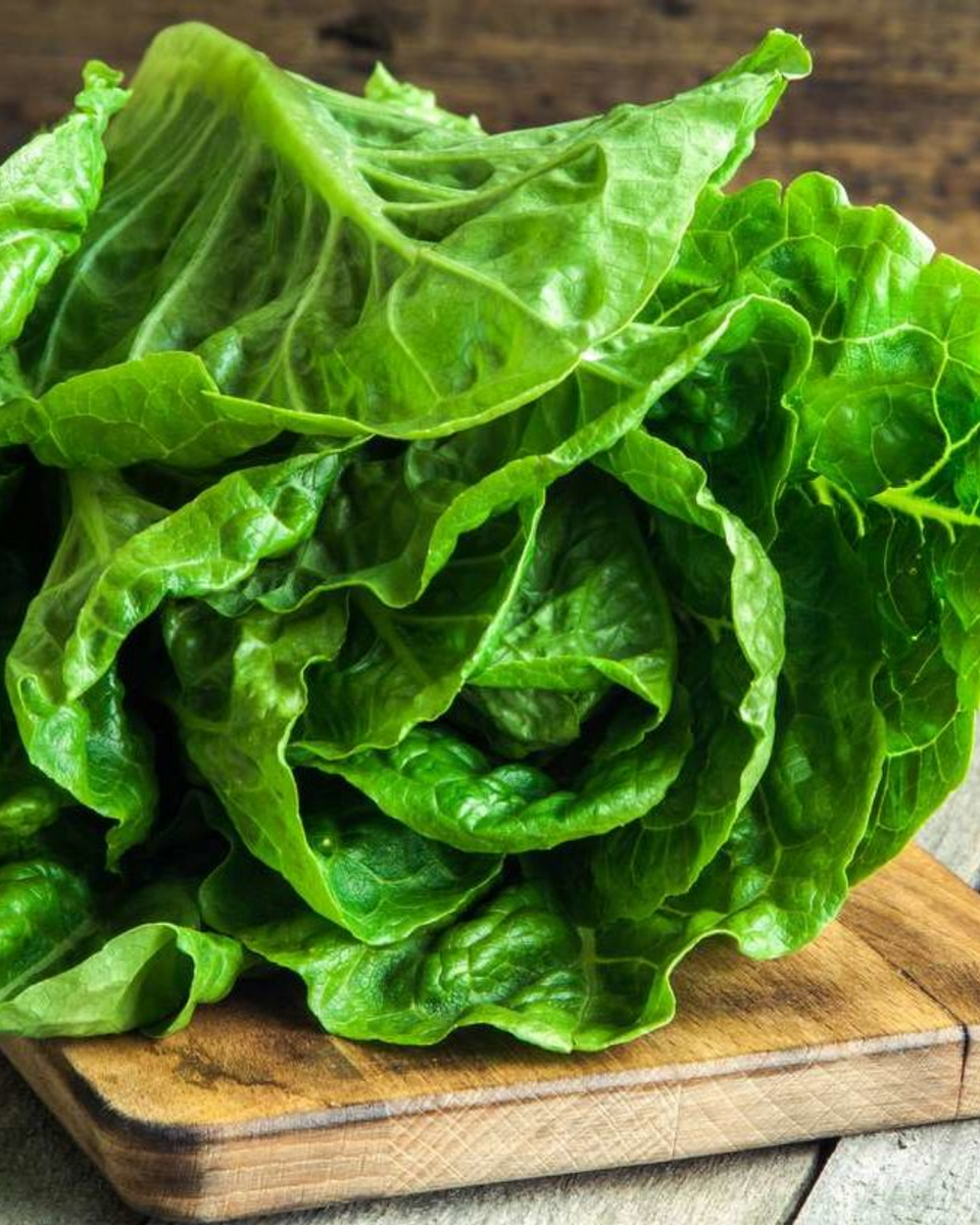 New Forest Green Lettuce – Roebridge Foods